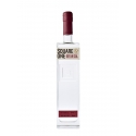 Square one botanical - vodka bio - Les Caves Du Roy - caviste - Paris