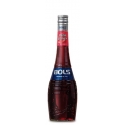 Bols pomegranate - liqueur de grenade - caviste - paris
